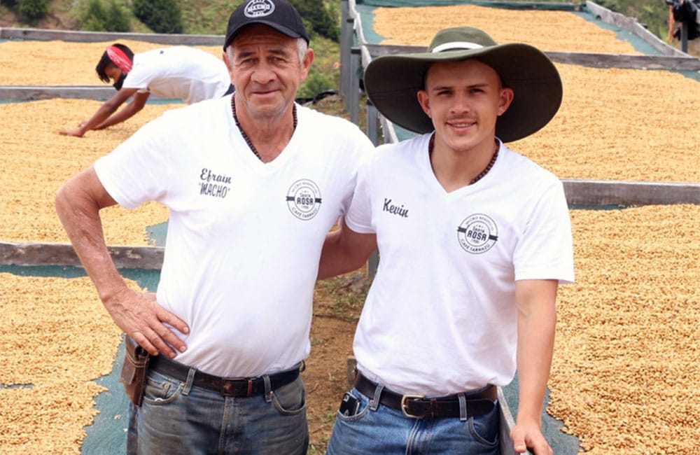 Red Catuaí from the renowned Santa Rosa 1900 estate